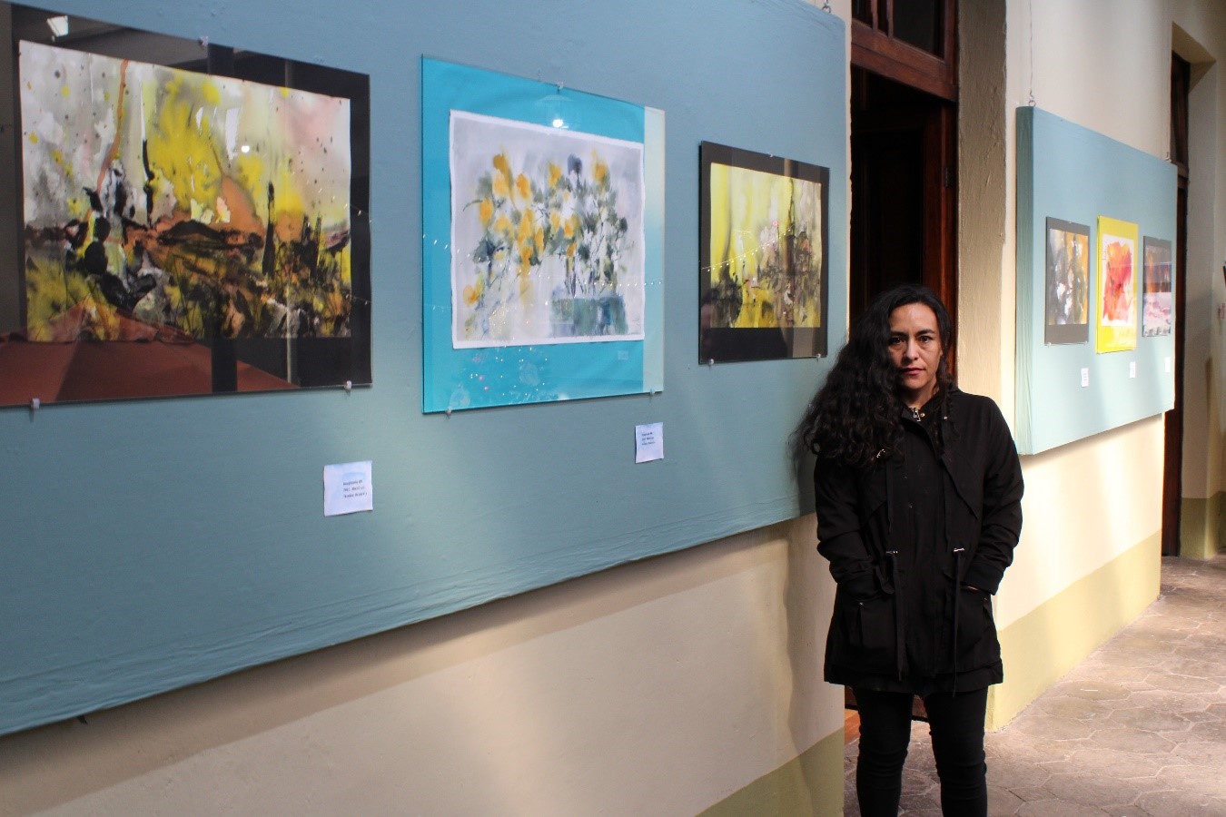 Alma Barrios, certidumbre e imaginarios. Exposición en el Museo de la ...